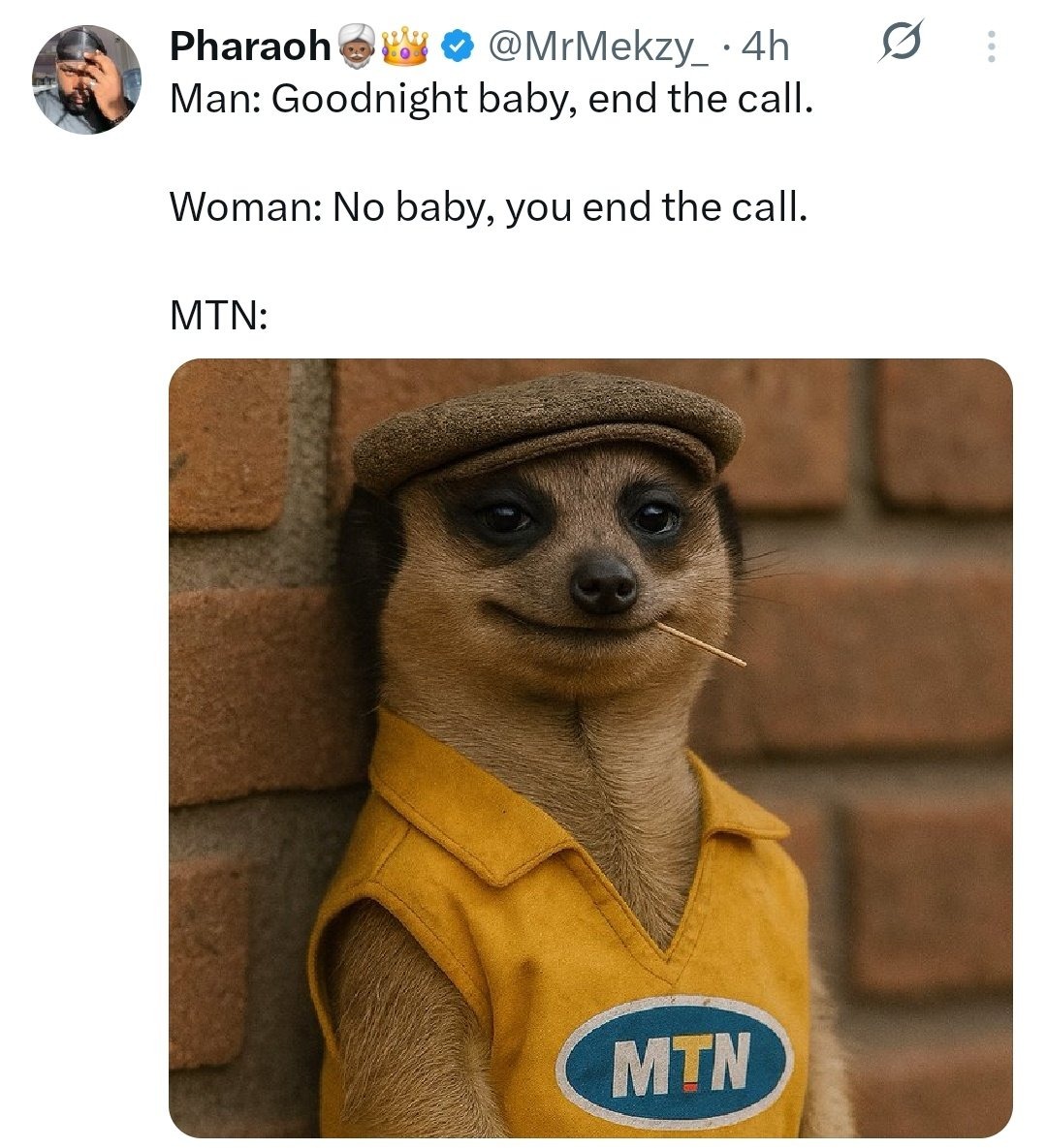 What is Meerkat? - The new meme star outshining Kasongo | Intel Region
