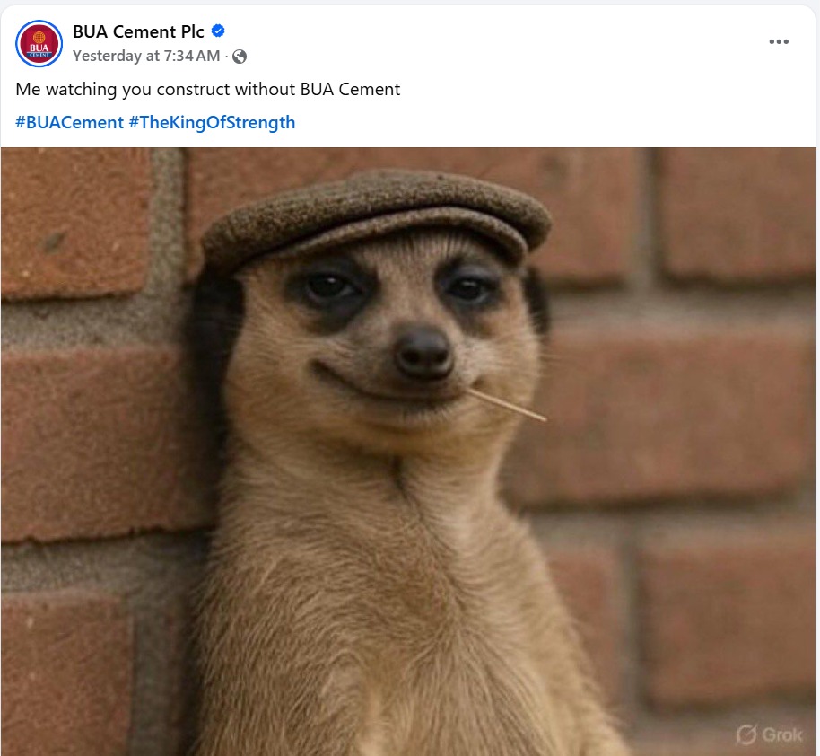 What is Meerkat? - The new meme star outshining Kasongo | Intel Region